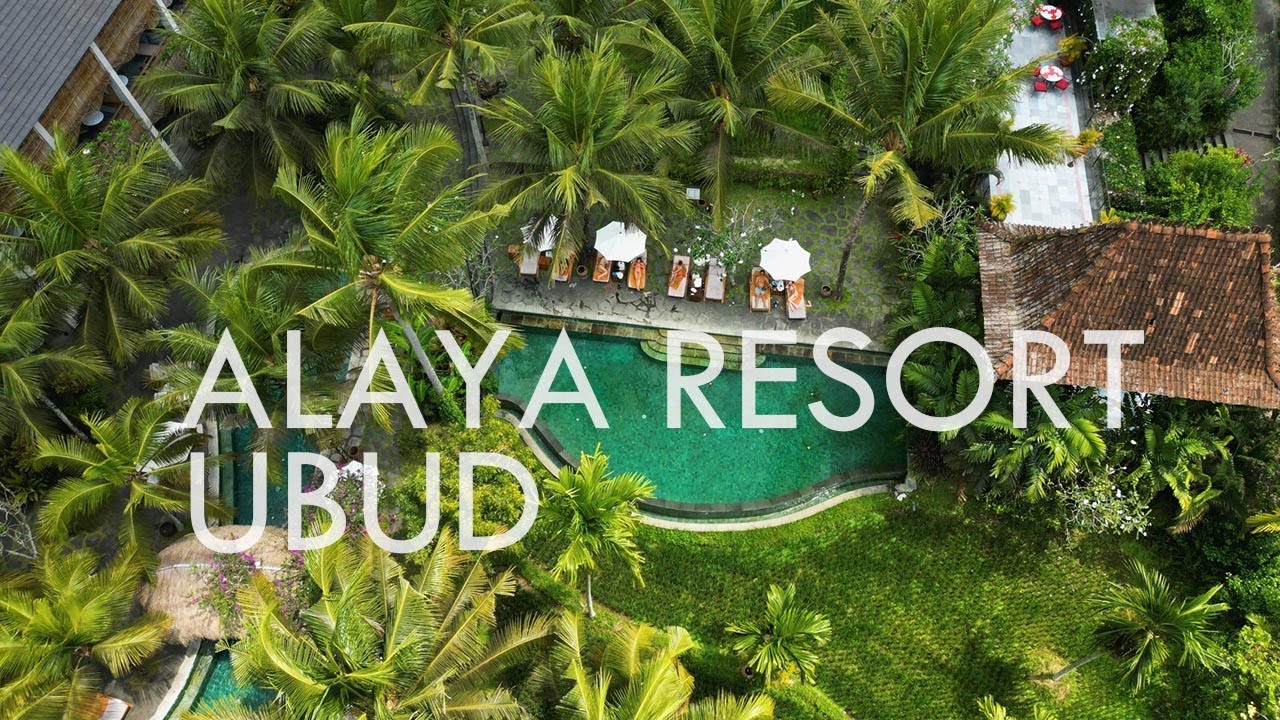 Relaxing Holidays at Alaya Hotel & Resort in Ubud #bali #luxury #hotel ...