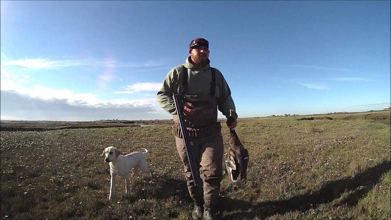 Duck stalking - YouTube
