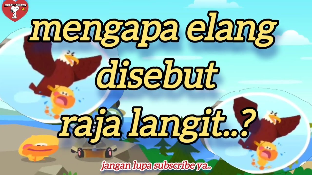 TAHUKAH KAMU,?MENGAPA ELANG DISEBUT RAJA LANGIT.? #foryou #education # ...