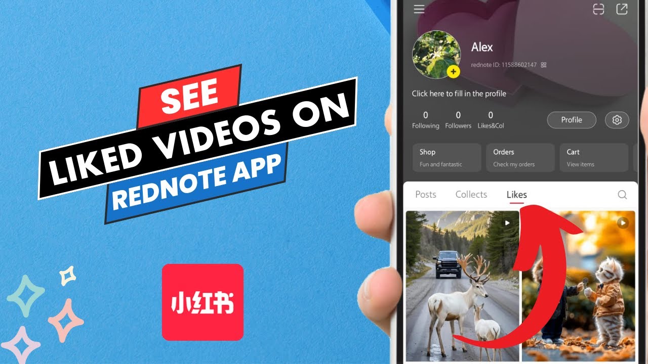 How To See Your Liked Videos on RedNote App - Easy Guide - YouTube