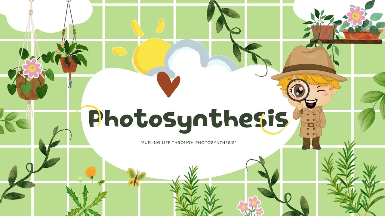 Photosynthesis 🌱| Learn Videos For Kids | - YouTube