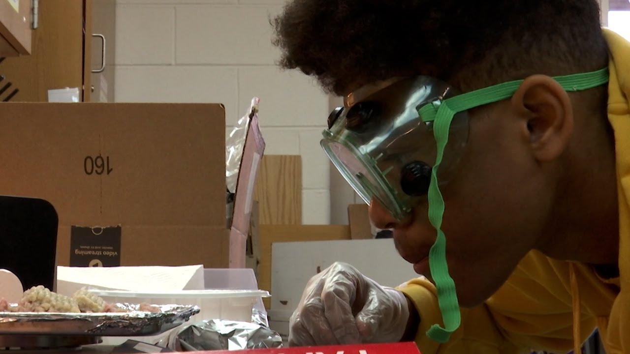 Henrico IB Biology Experiments YouTube henrico-ib-biology-experiments-youtube