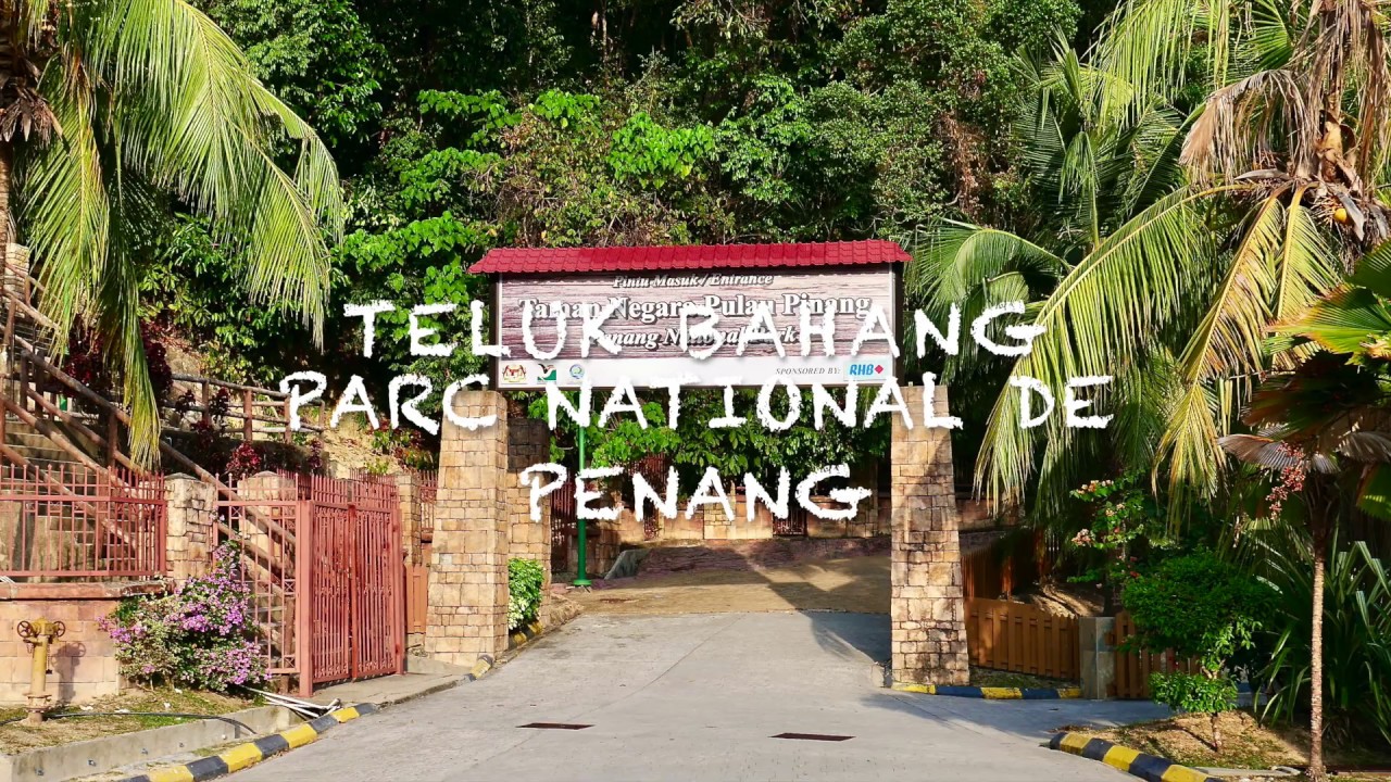 Teluk Bahang Parc national de Penang - YouTube