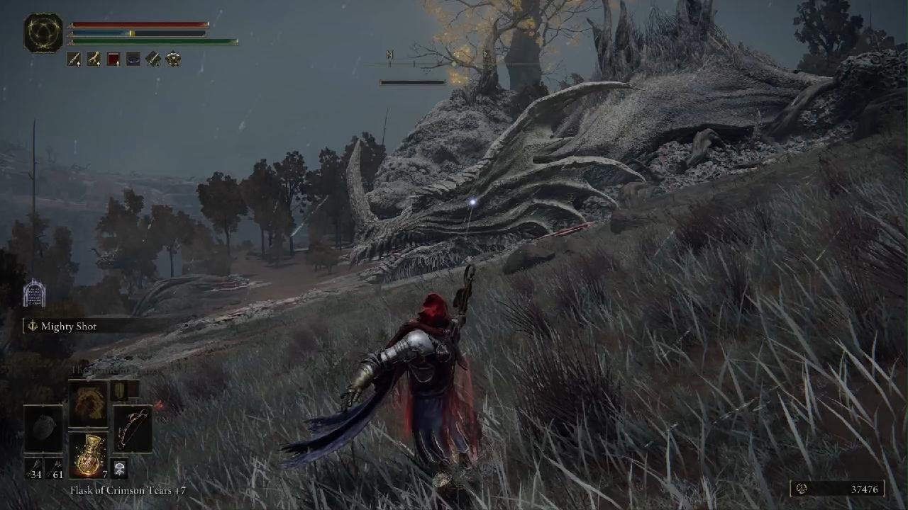 Elden Ring (PS5) - Elder Dragon Greyoll - YouTube