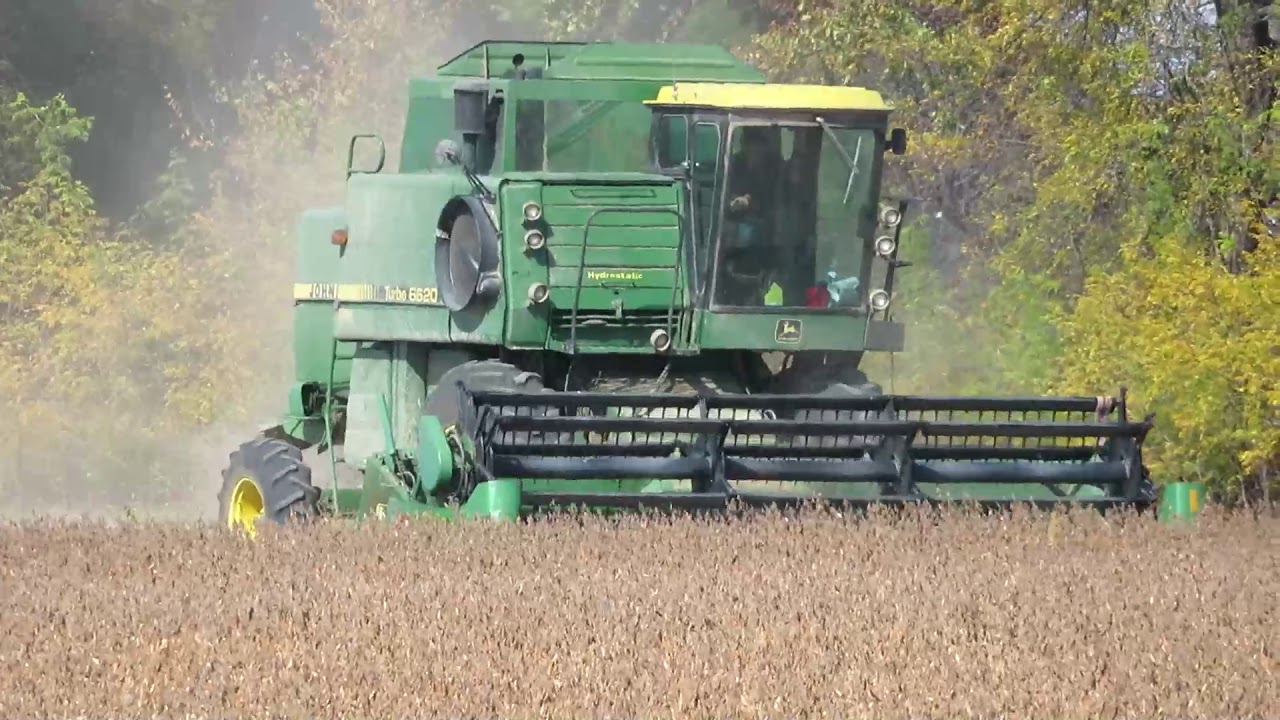 Harvest 2020 | John Deere 6620 Combine Harvesting Soybeans | Soybean ...