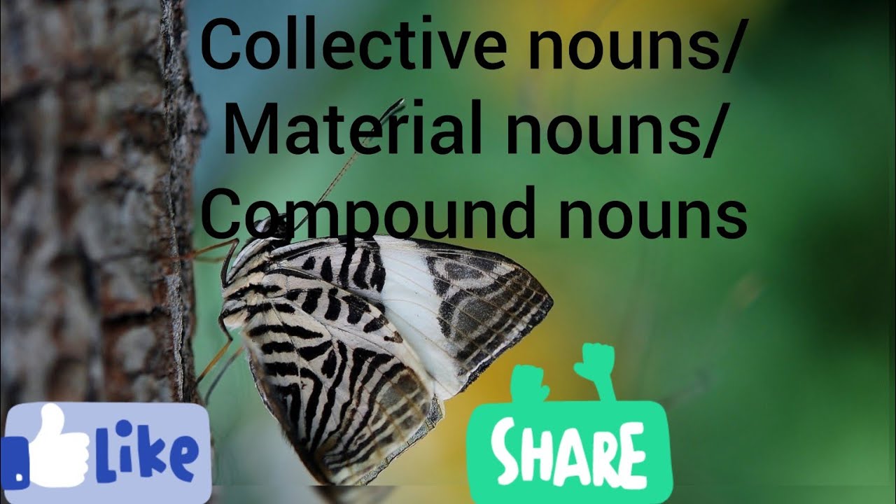 Collective nouns/Material nouns/Compound nouns/Parts of speech - YouTube