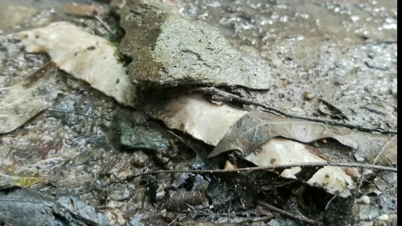 6 Inch Killer! Arrowhead Hunting in Iowa! - YouTube