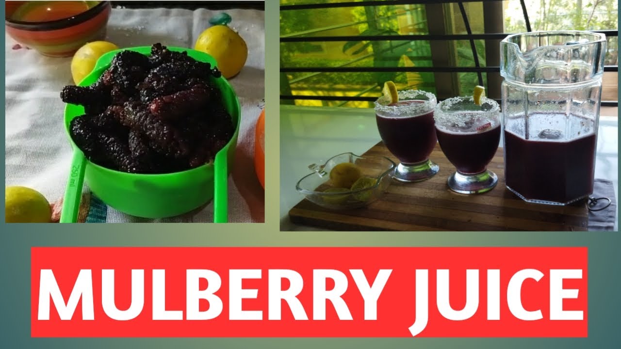 Mulberry juice | 5 minutes healthy drink recipe - YouTube