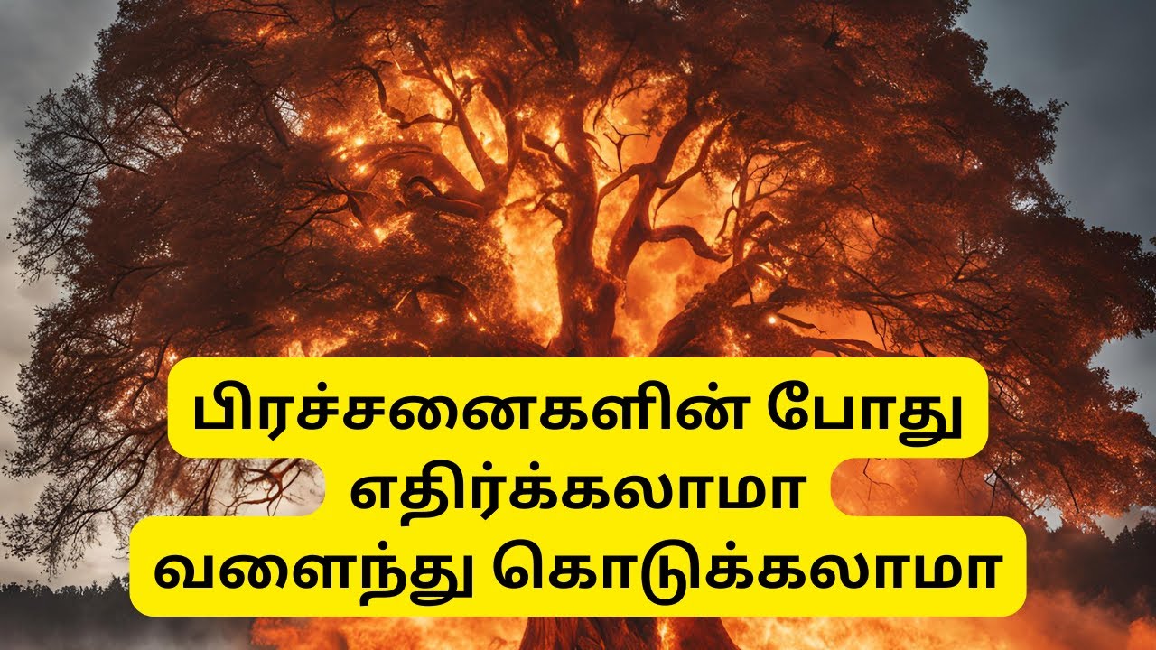 Success is in Problem Solving tamil #tamil #tamilstories - YouTube