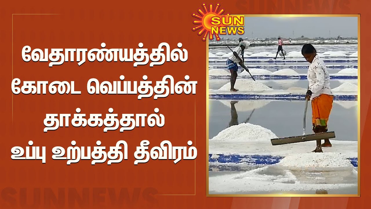 வேதாரண்யத்தில் கோடை வெப்பத்தின் தாக்கத்தால் உப்பு உற்பத்தி தீவிரம் ...