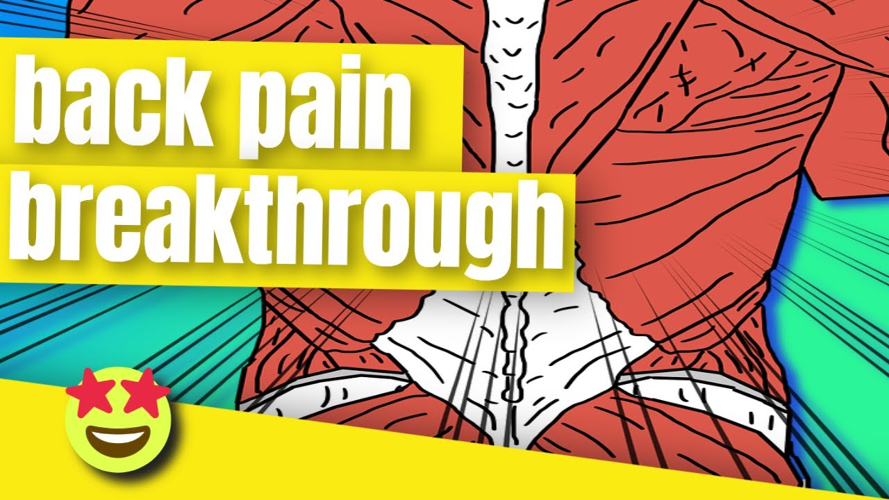 Exercises For Lower Back Pain After Hip Replacement Glenview north exercises-for-lower-back-pain-after-hip-replacement-glenview-north