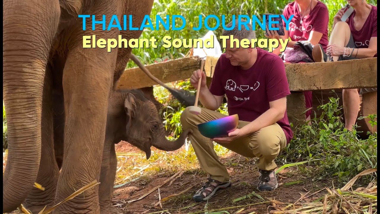 Thailand Journey Elephant Sound Therapy - YouTube