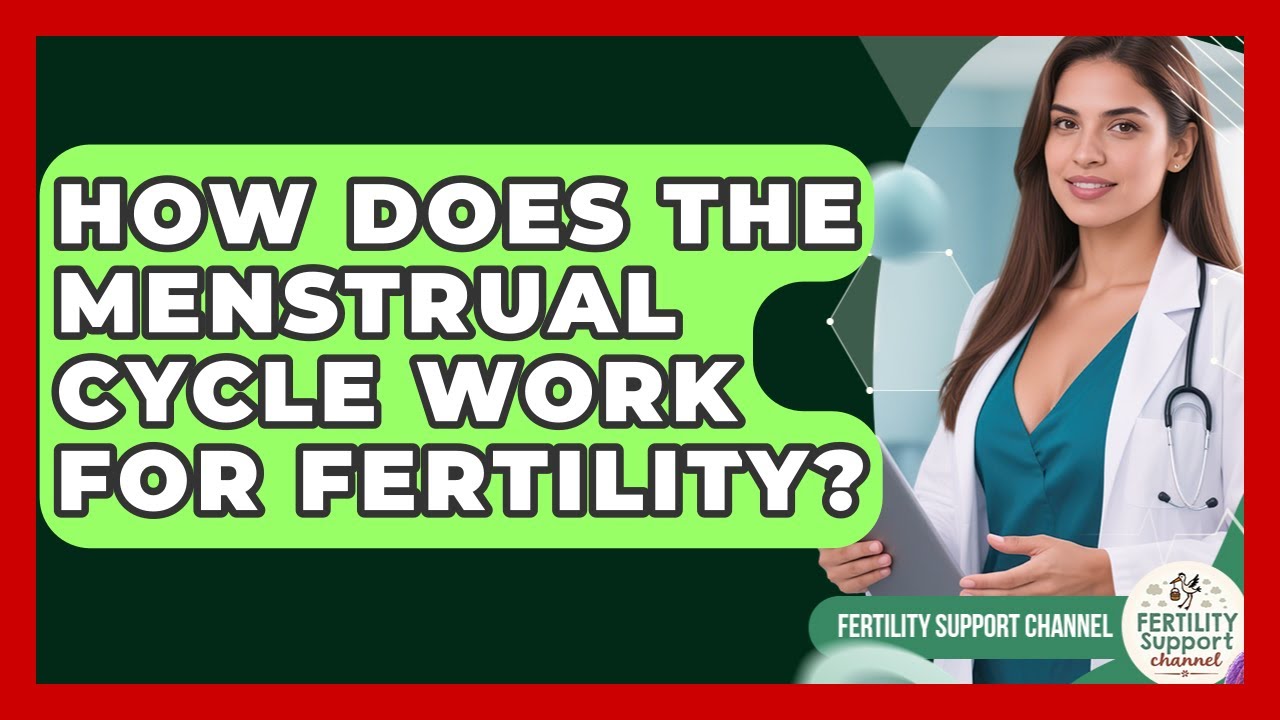 How Does The Menstrual Cycle Work For Fertility? - Fertility Support ...