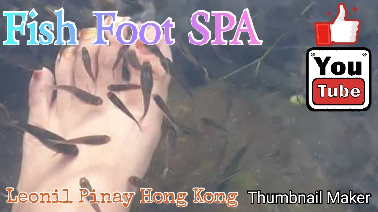 Fish Foot Massage / Nature Lover - YouTube
