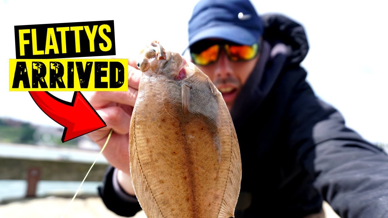 THE SEA FISH FINALLY ARRIVED - YouTube