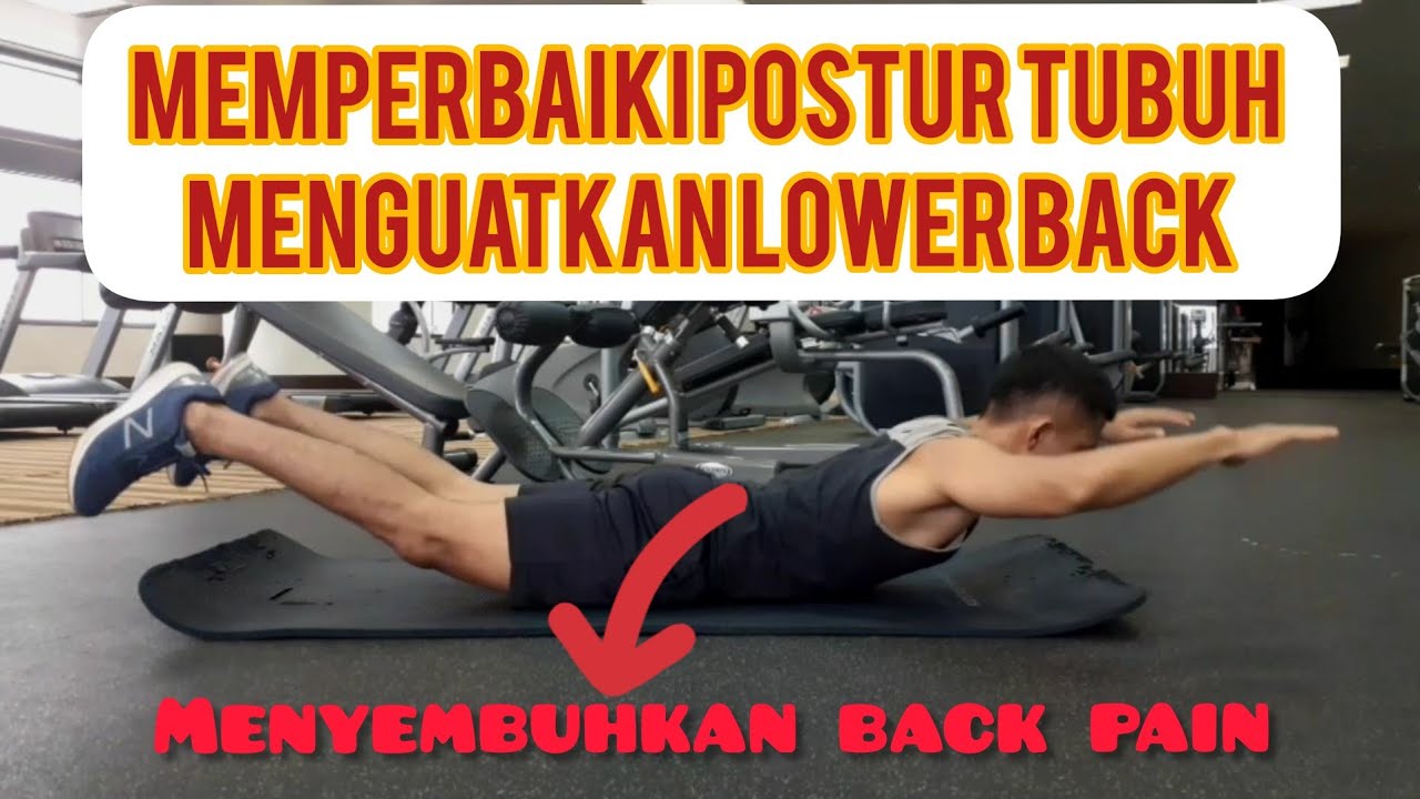 LATIHAN PENGUATAN LOWER BACK | BACK PAIN HILANG - YouTube