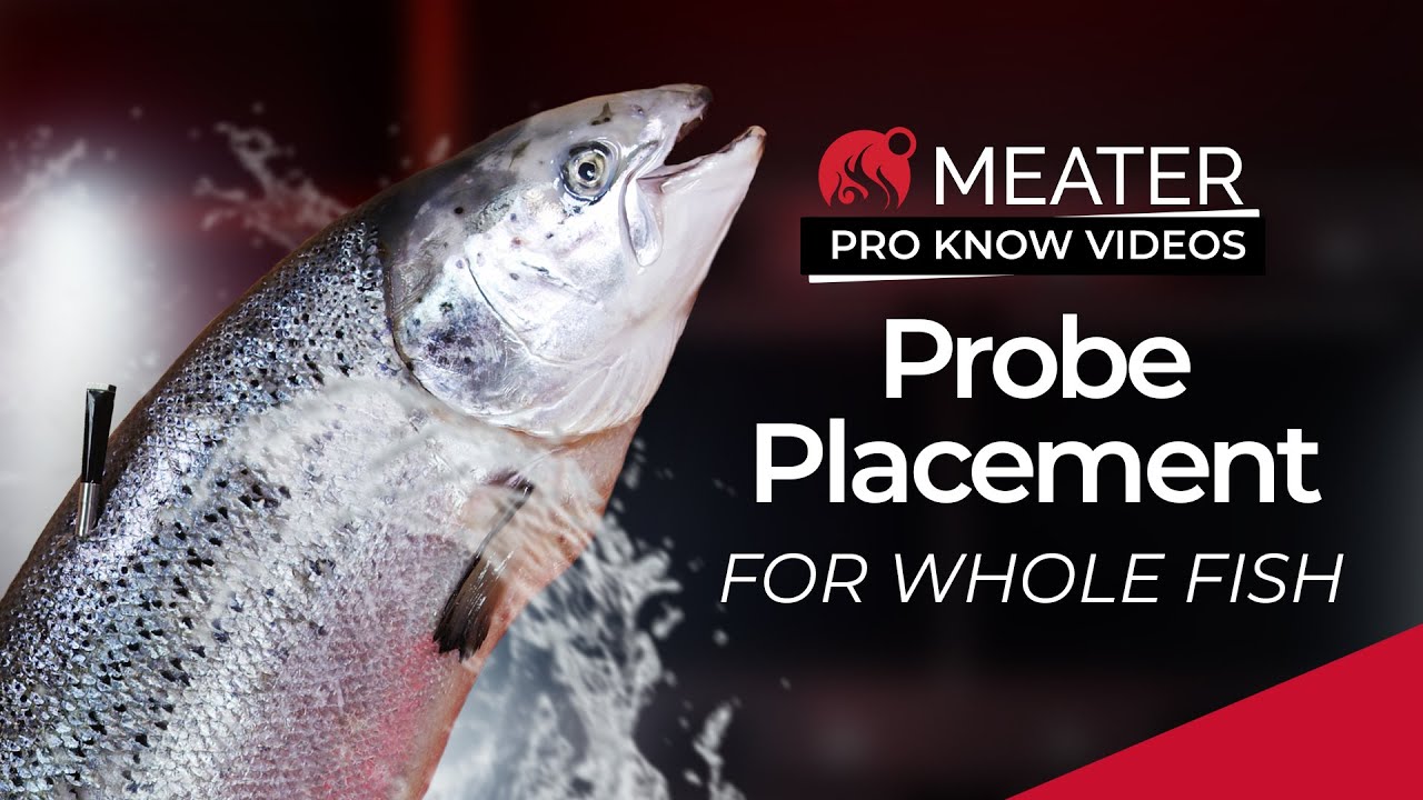 Fish Probe Placement | MEATER Product Knowledge Video - YouTube