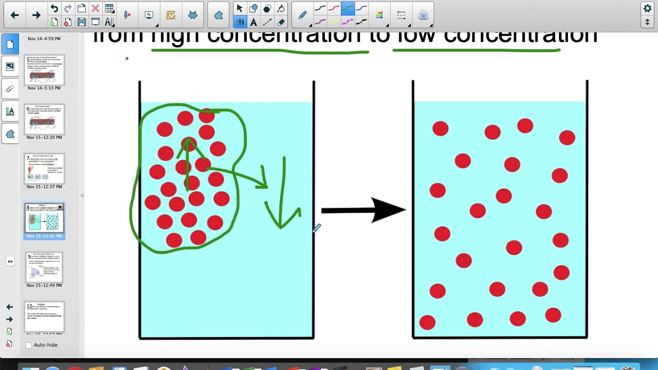 lesson 4 fluid movement in cells - YouTube