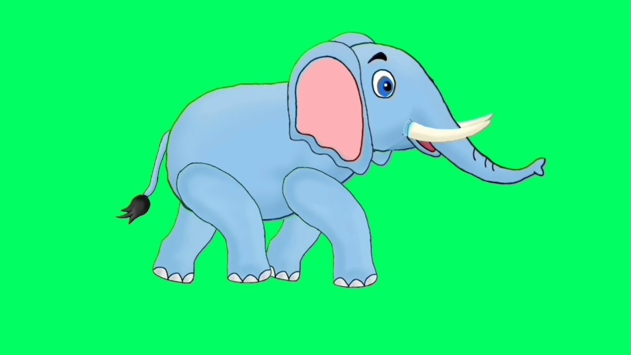 2D Elephant animation Green screen cartoon no copyright video - YouTube