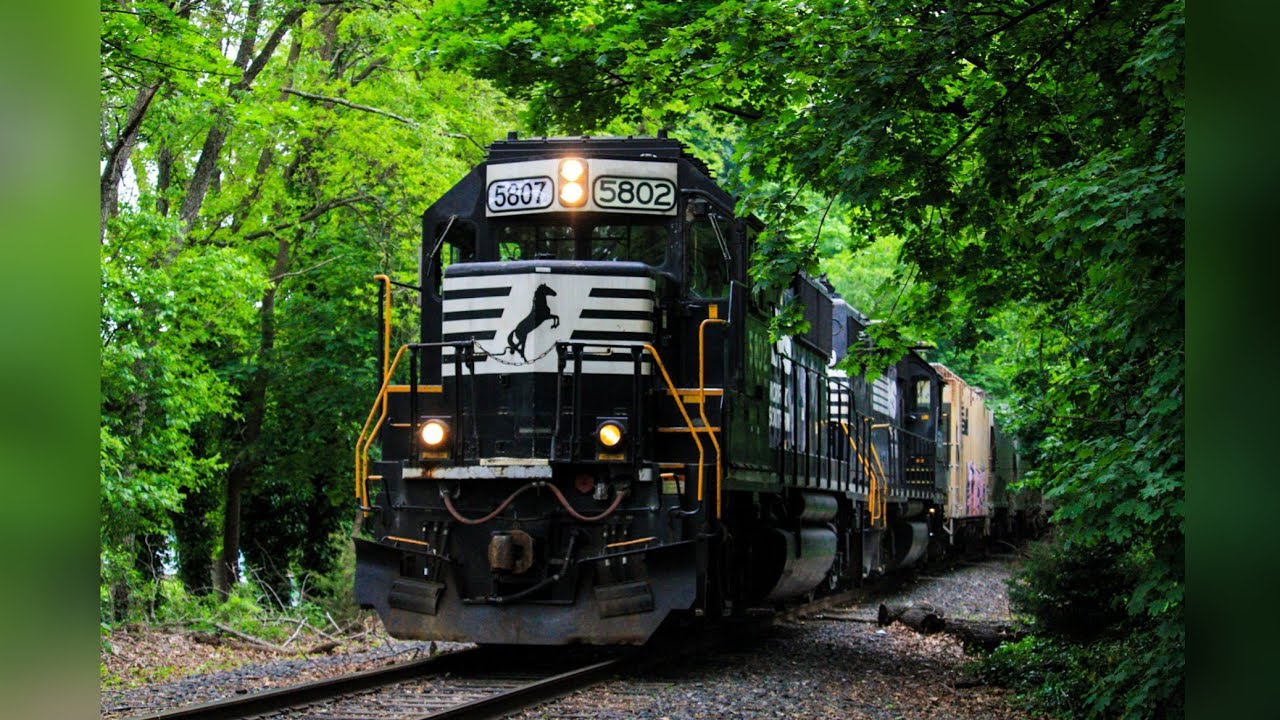 NS 5802/NS 5219 Lead CSAO WPMI-61 Northbound Through a Forest 5/16/24 ...