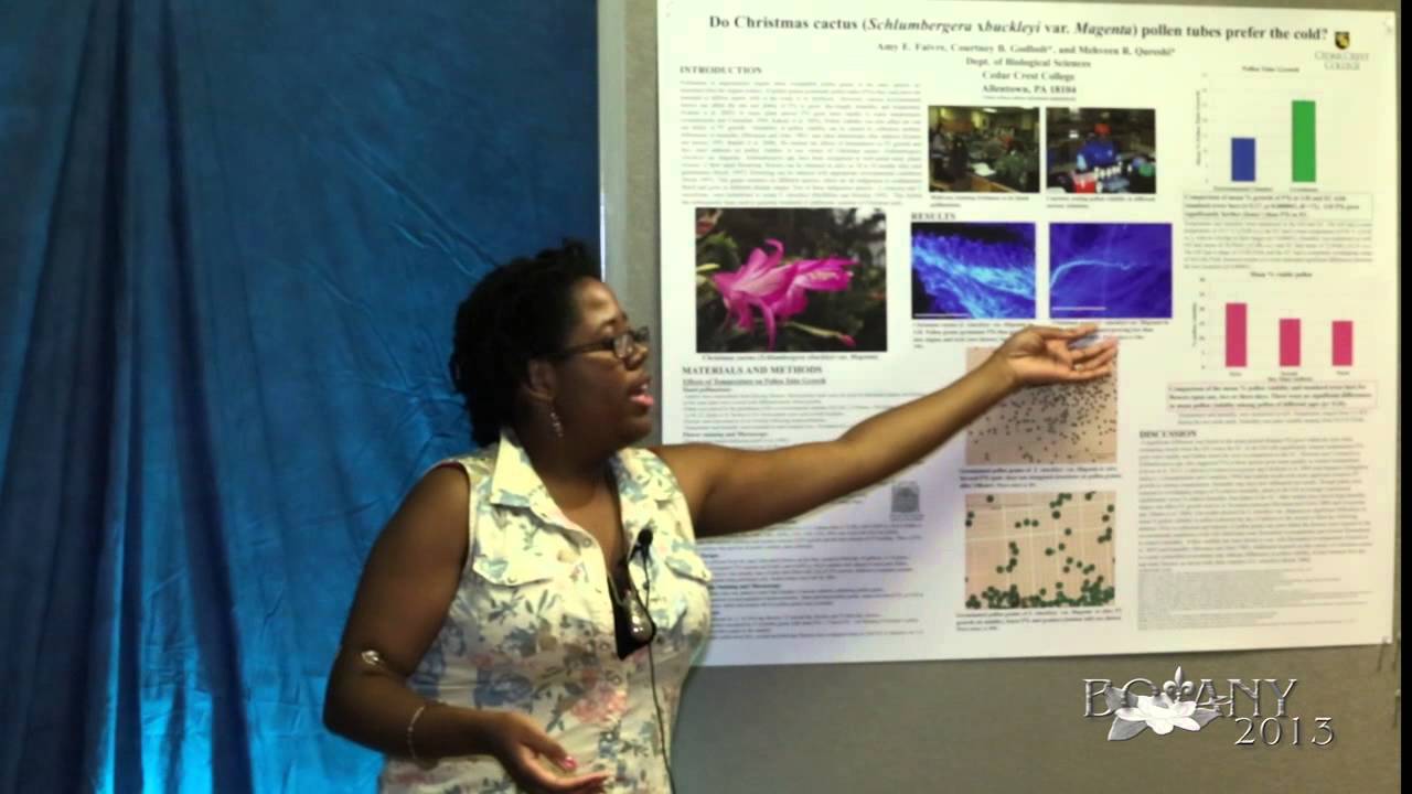 Courtney Godbolt-Cedar Crest College - YouTube