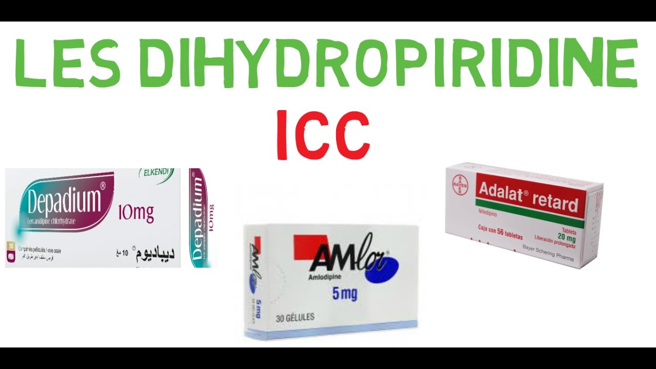 les dihydropiridine تعرف على أدوية - YouTube