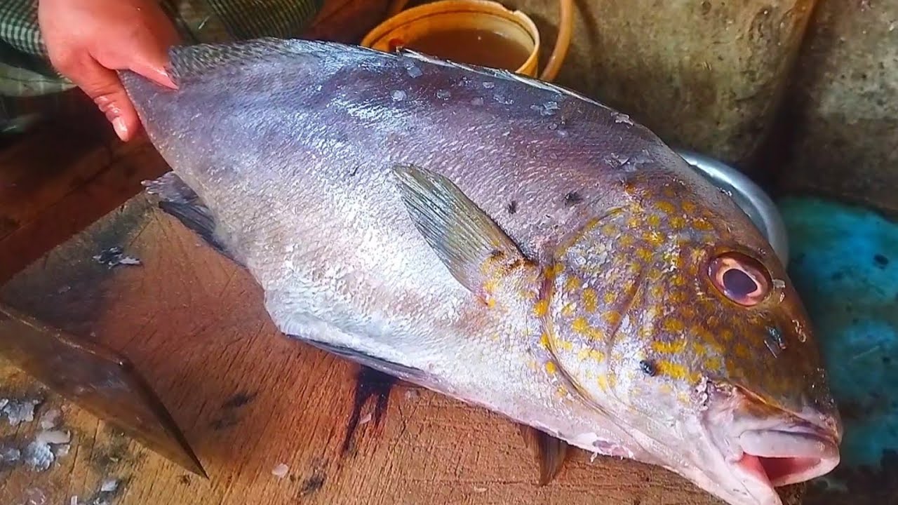 Big Nice A Kural fish cutting Live ln Bangladesh Fish market fish ...
