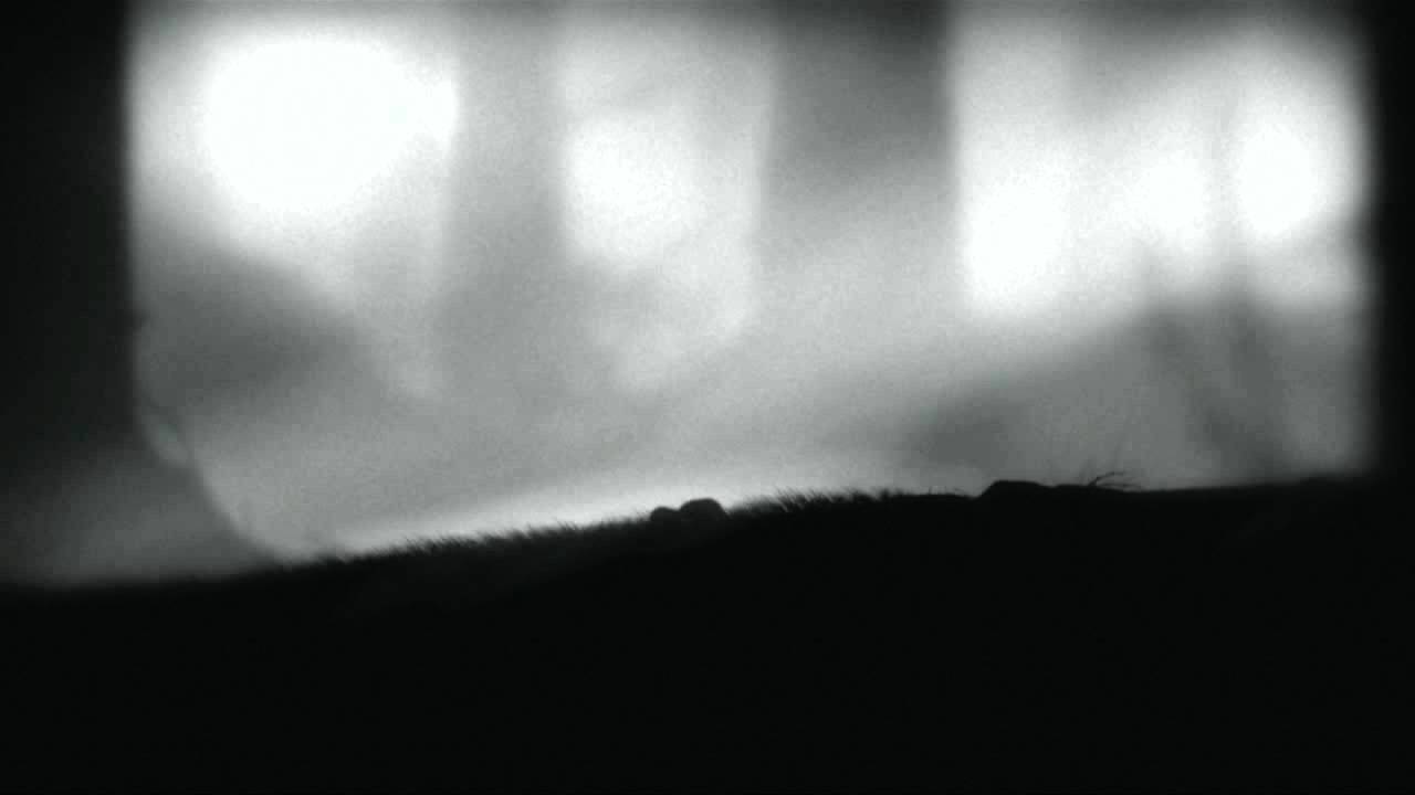 LIMBO - Ending the Game - YouTube