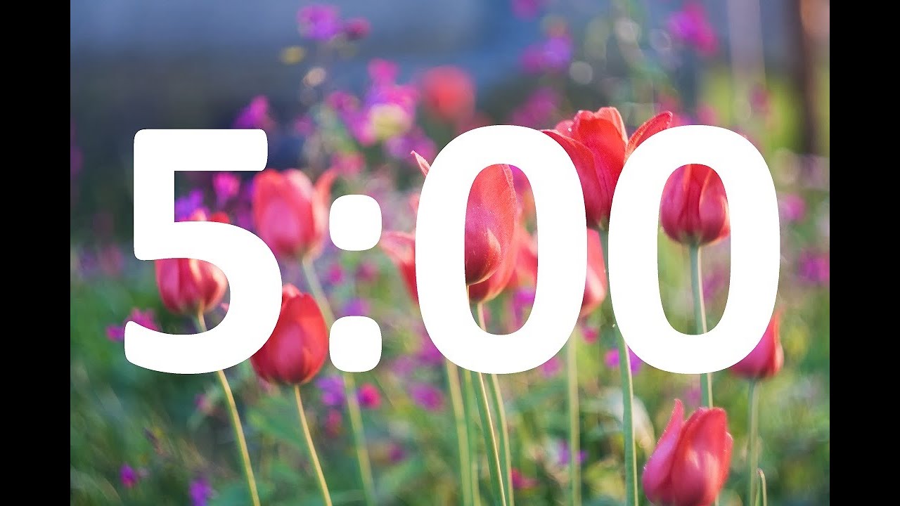 5 Minutes Spring Timer with calm piano music. - YouTube