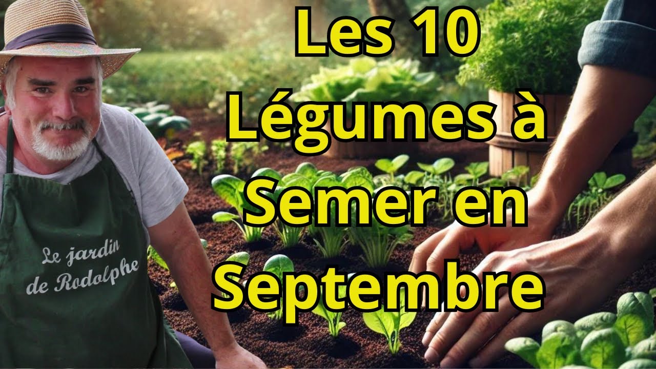 Que Semer en Septembre? Les Meilleurs Légumes à Semer Avant l'Hiver ...