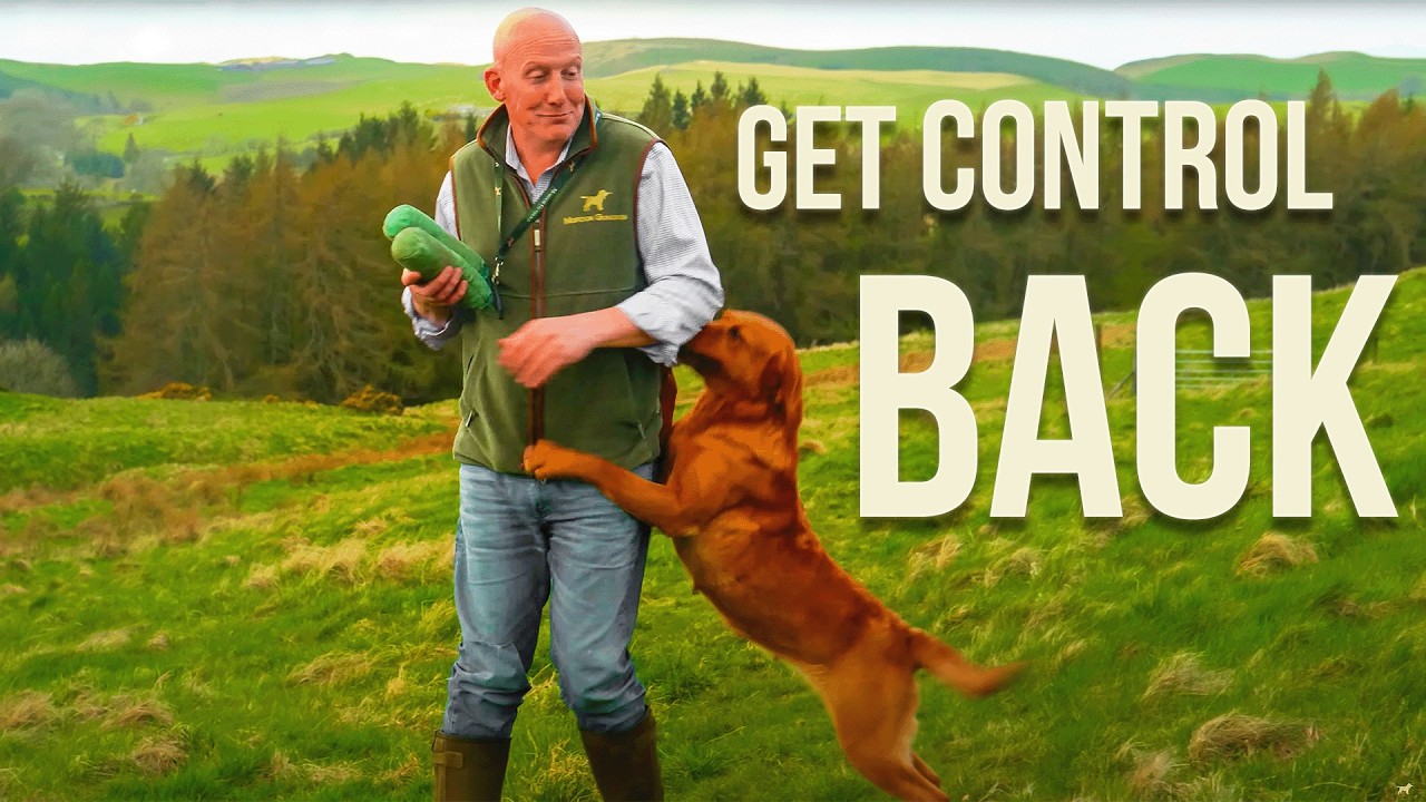 How To RETRAIN A VERY Naughty Dog - YouTube