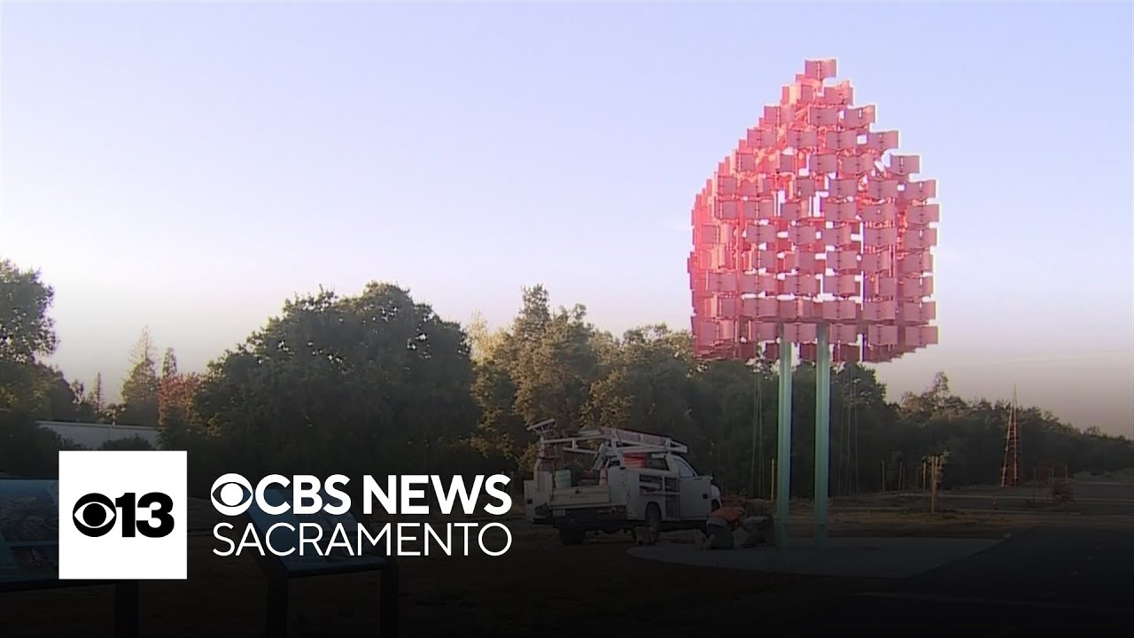 Sacramento's Del Rio Trail holds art celebration as multi-million ...