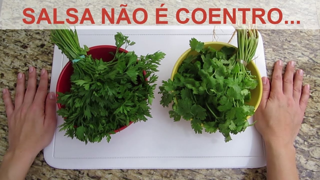 Salsa não é Coentro!! - YouTube