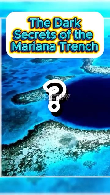 uncovering the secrets of the Mariana Trench. It turns out... # ...
