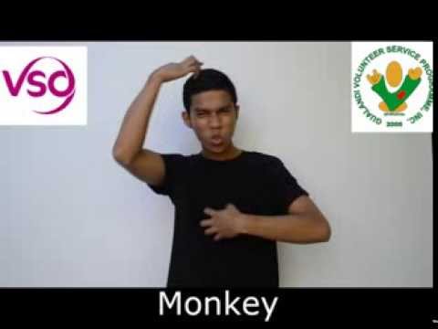 Filipino Sign Language dictionary- Animals - YouTube