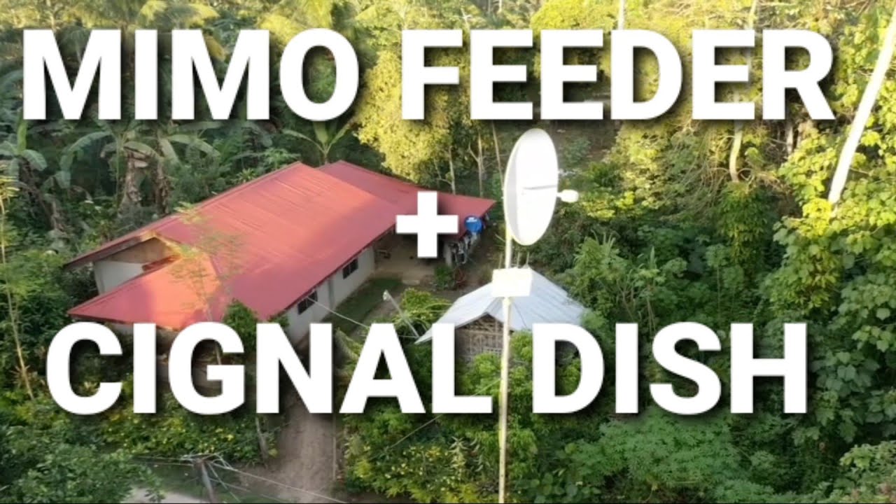 MIMO FEEDER + CIGNAL DISH SETUP|| SPEEDTEST|| QUICK REVIEW - YouTube