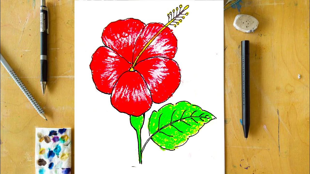 How to draw Hibiscus flower step by step | How to draw China Rose step ...
