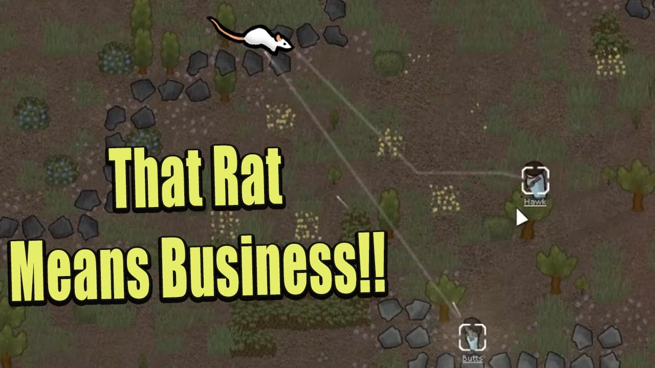 A single manhunting rat - [RimWorld Gameplay] - YouTube