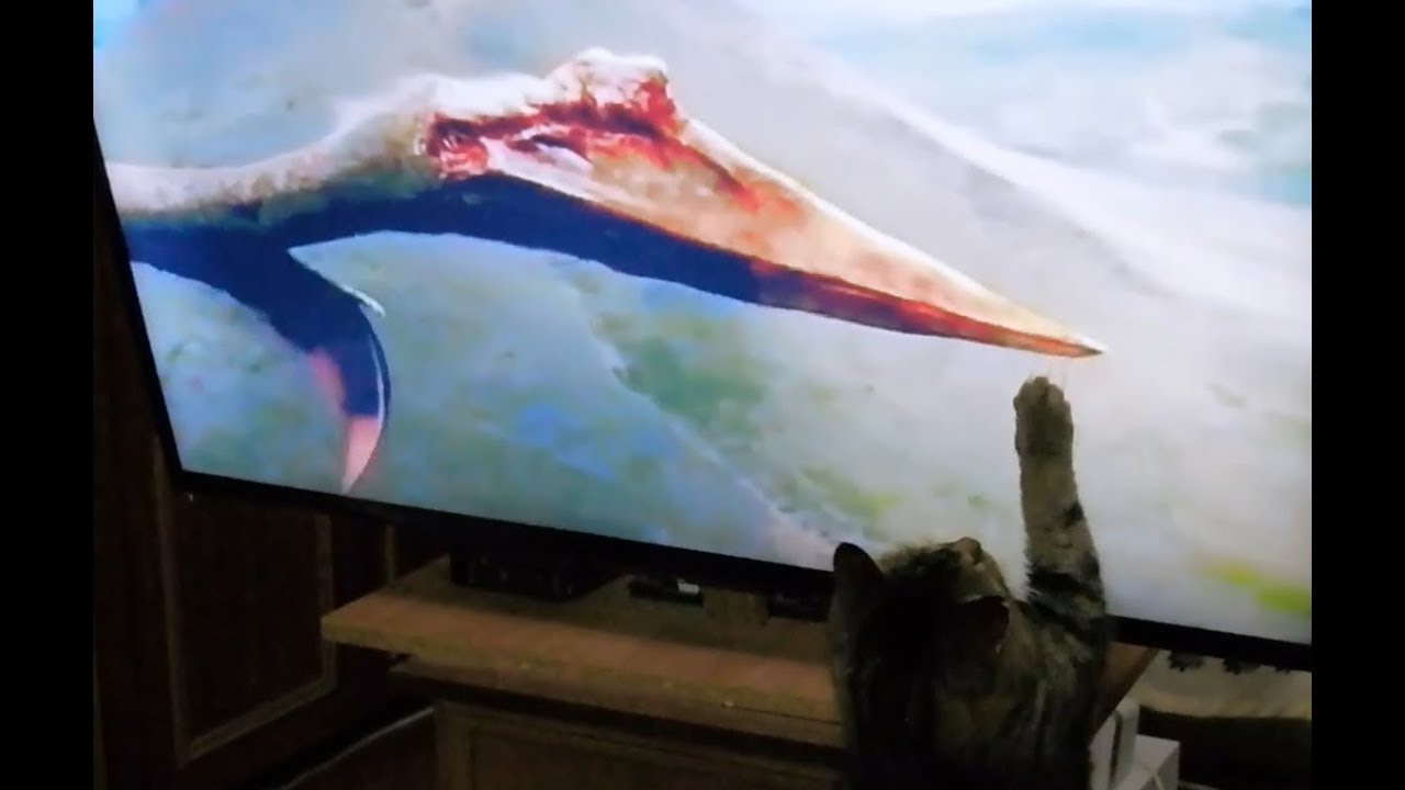 Cat vs. Dinosaur. Funny video. - YouTube