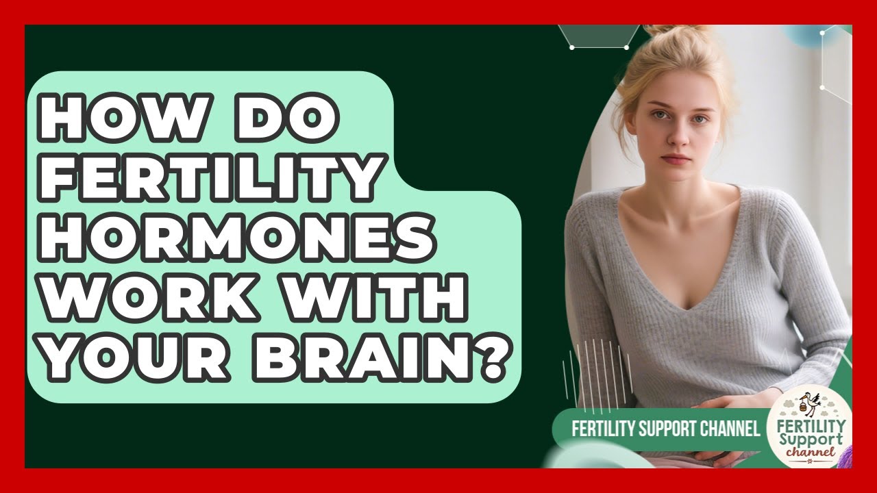 How Do Fertility Hormones Work With Your Brain? - Fertility Support ...