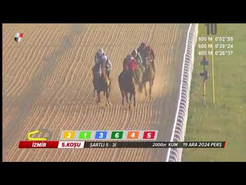 AKIL DOLU BİNİŞ MUHAMMED MİR BİLGİNDEN🖐