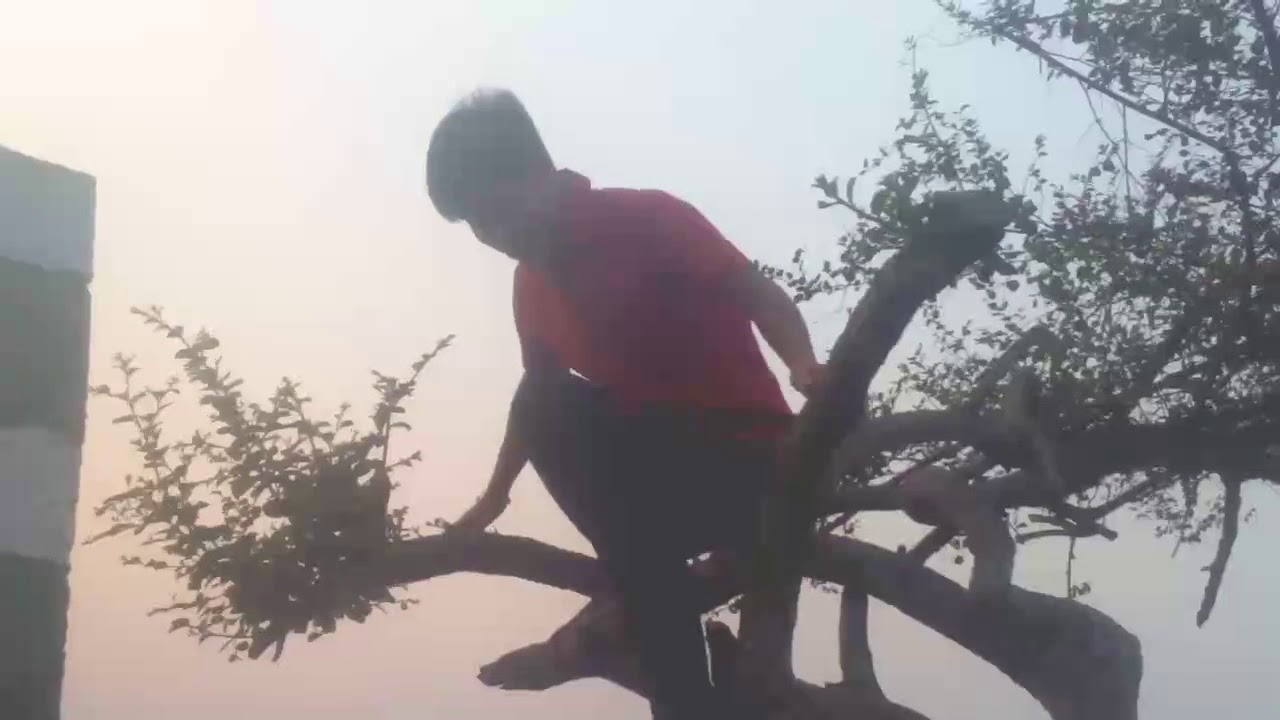 Gajw Bandor Chele Ajo(গাজ বান্দর চেলে এজ) - YouTube