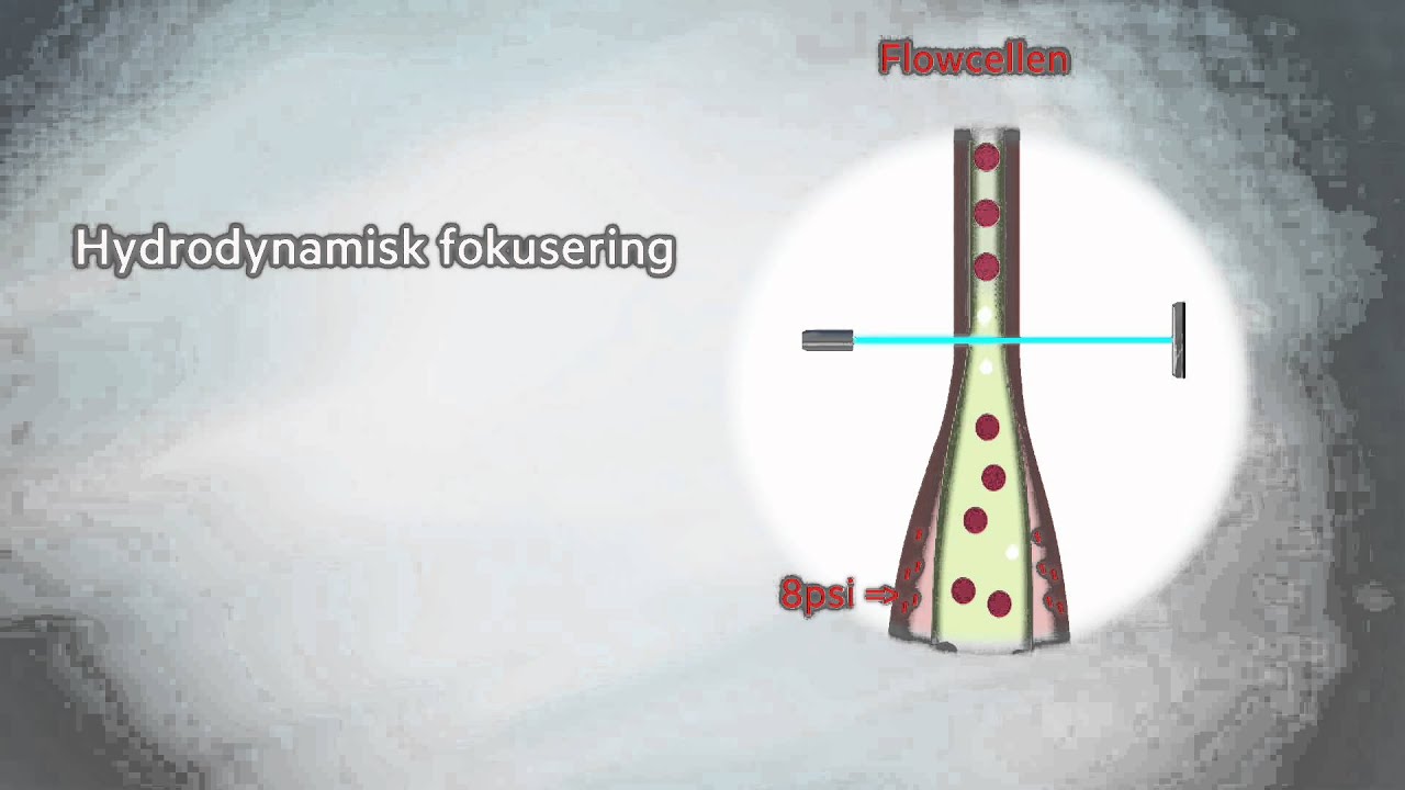 4 2 Hydrodynamisk fokusering - YouTube