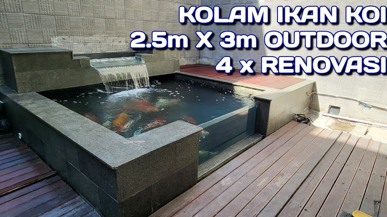 KOLAM IKAN KOI 2.5m X 3m 4 KALI RENOVASI | Owner Bp Wiyono | Wisata ...