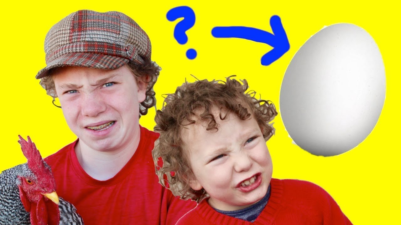 How do you know if an egg is rotten? The "sink test" (and the "stink ...