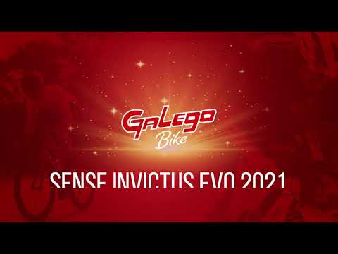 Sense Invictus Evo 2021