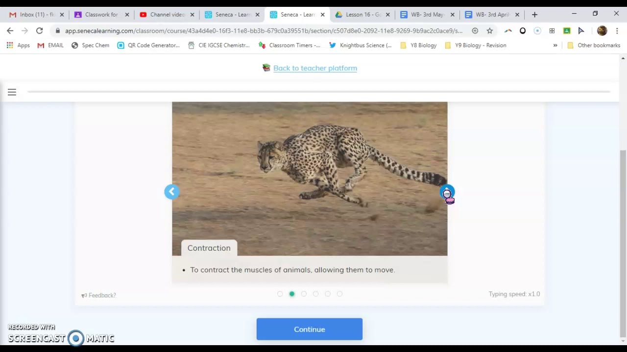 Week 8 Y9 Biology Guidance video - Seneca Quiz Respiration - YouTube