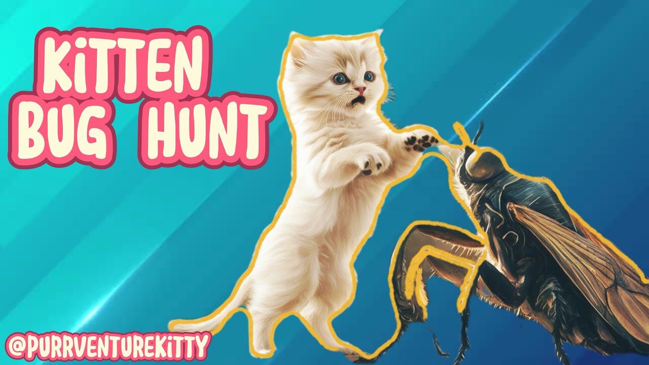 Kitten Bug hunt #youtubevideo - YouTube