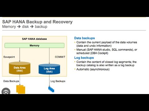 SAP HANA 2.0 - HANA BACKUP & RECOVERY - YouTube