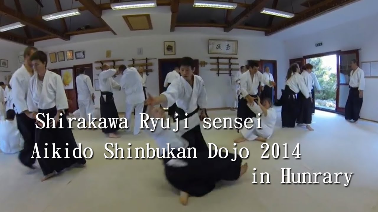 【Aikido】Shirakawa Ryuji sensei at Aikido Shinbukan Dojo 2014 in Hunrary ...
